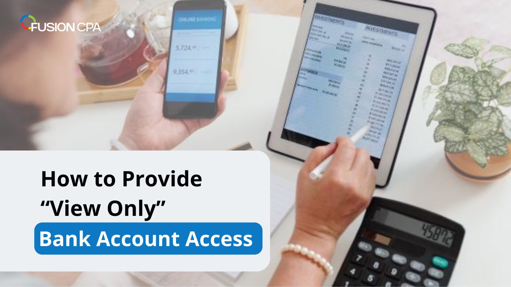 Client Guide | How to Provide "View Only" Bank Account Access